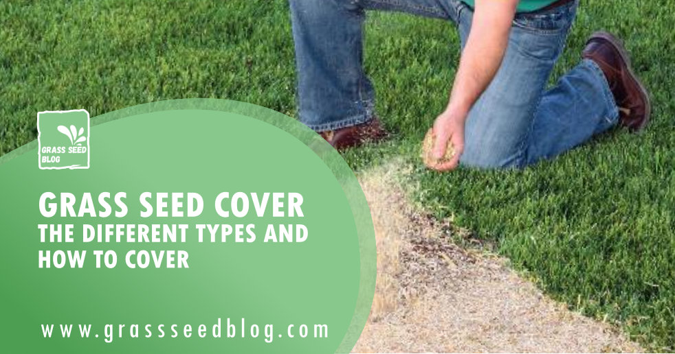 Grass Seed Cover – The Different Types and How to Cover | Grass Seed Blog
